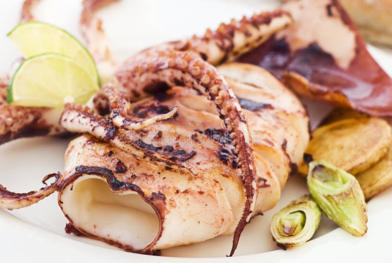 Grilled Cuttle Fish stock image. Image of decorated, sepia - 11280971