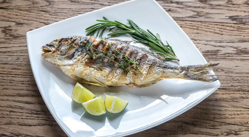 Grilled Dorade Royale Fish on the Plate Stock Image - Image of seafood ...
