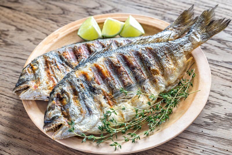 Grilled Dorade Royale Fish stock image. Image of mediterranean - 75858705