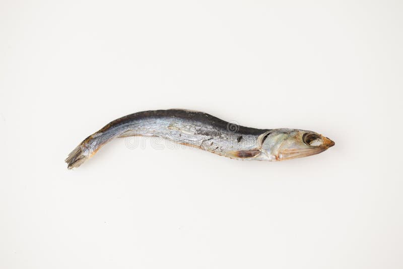 Grilled Dried Fish on White Background Stock Image - Image of grilled ...