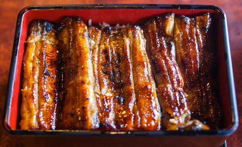 Grilled Eel Over Rice with Japanese Sauce Stock Photo - Image of ...