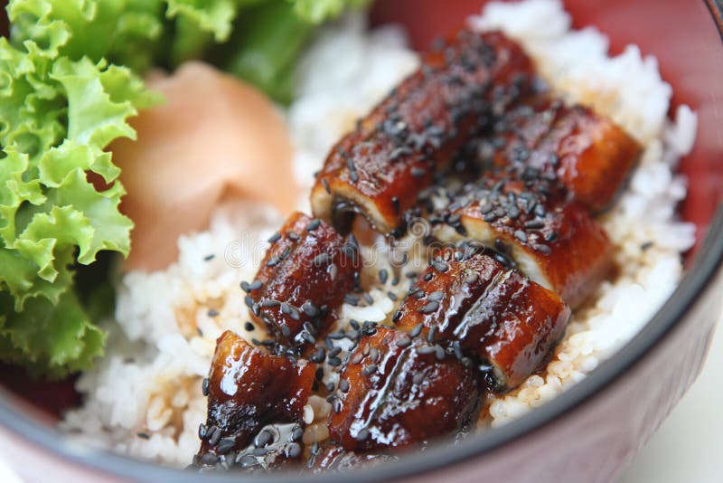 Close Up Grilled Eel In Bowl Stock Photo - Image of food, grilled: 33471348