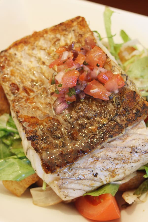 Filet mignon stock image. Image of vegetable, filet, dinner - 2445323