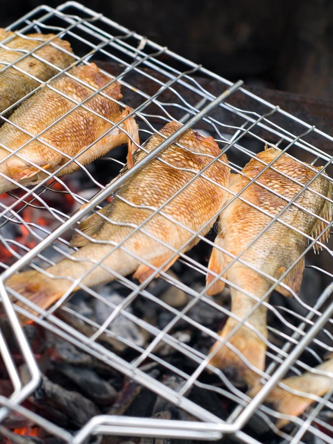 Grilled fish stock image. Image of meal, healthy, food - 26643053