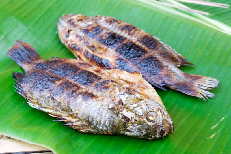 Grilled Fish on Banana Leaf Stock Image - Image of saury, grill: 50273545