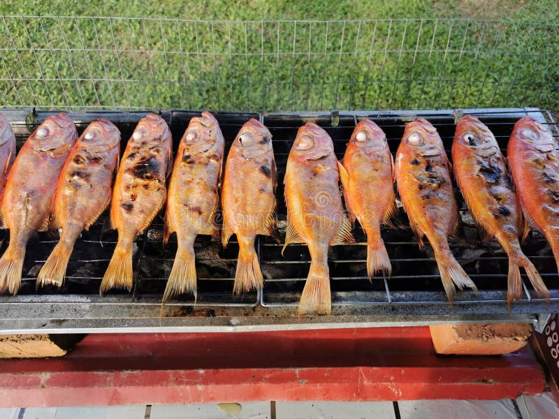 Grilled Fish Barbecue on Grill. Editorial Stock Image - Image of food ...