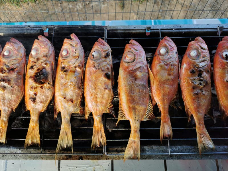 Grilled Fish Barbecue with Spices on Grill Close Up. Stock Image ...