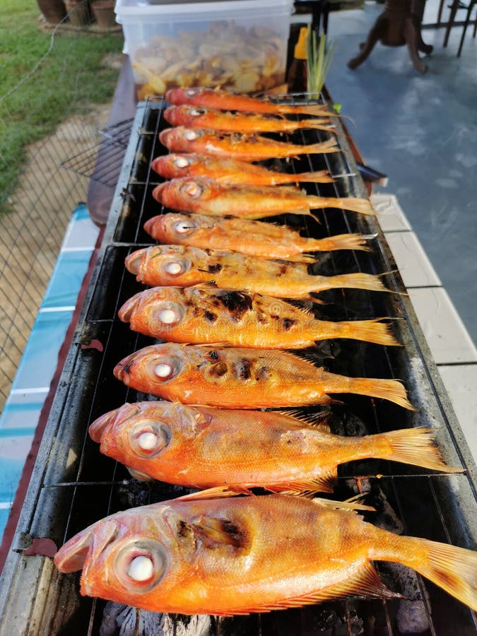 Grilled Fish Barbecue with Spices on Grill Close Up. Selective Focus ...