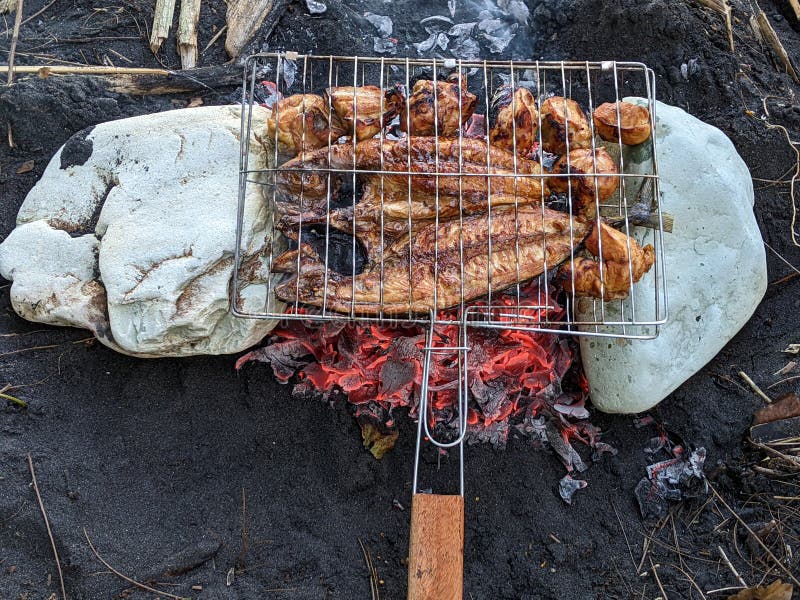 Grilled fish on the beach stock photo. Image of lunch - 249704726