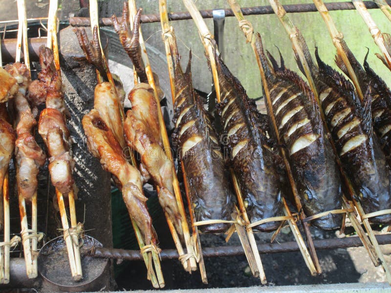 Grilled fish and chicken stock image. Image of fish - 140717567