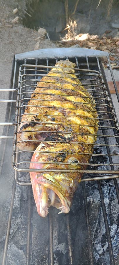 Grilled Fish Cooked with Local Spices Stock Photo - Image of spices ...