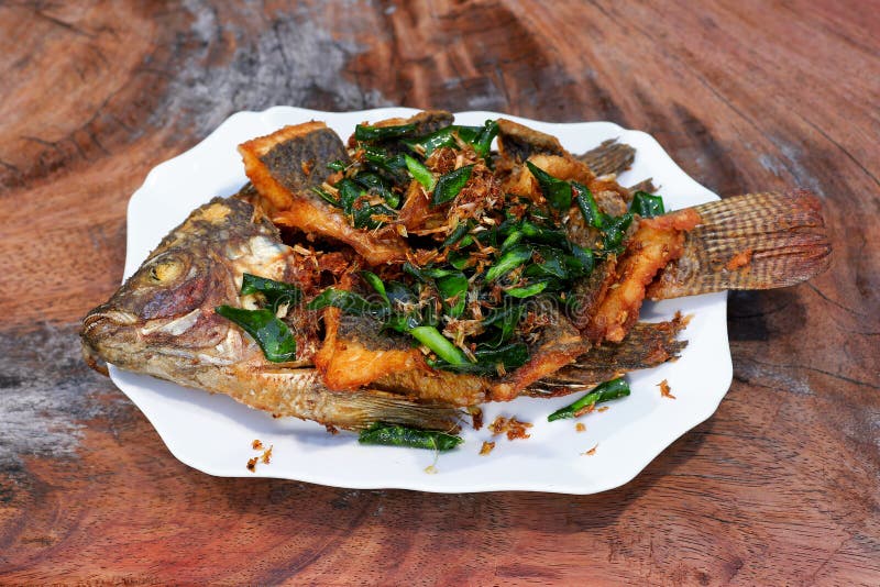 Grilled fish stock photo. Image of healthy, grilled, dish - 47674316