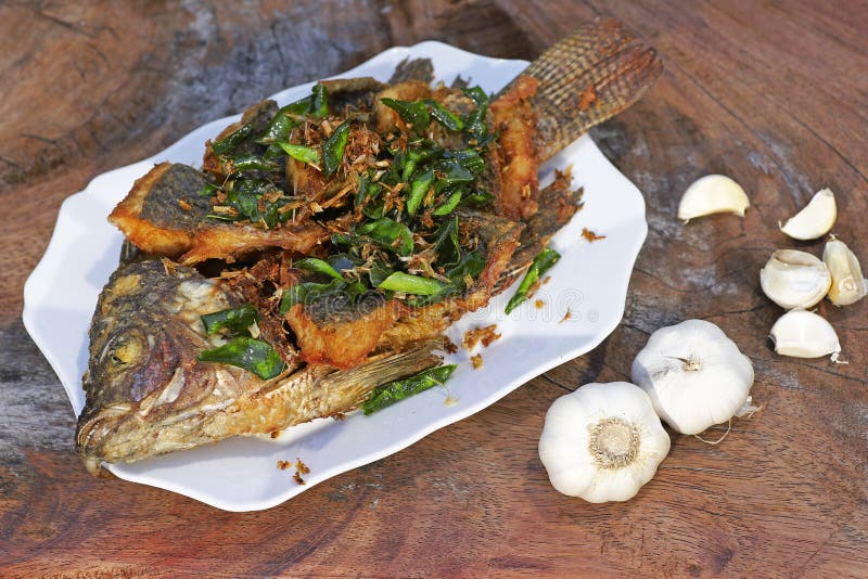 Grilled fish stock photo. Image of fish, animal, meal - 47946968