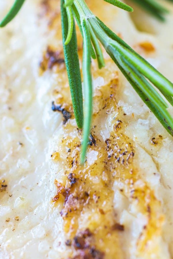 Grilled Fish Fillet stock image. Image of cuisine, light - 59781009