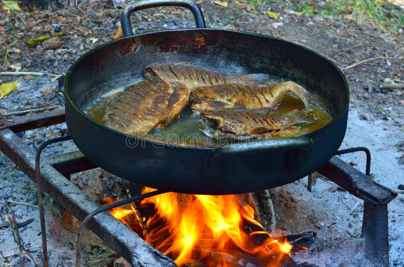 Campfire Cooking With Grill And Frying Pan Stock Image - Image of grove ...