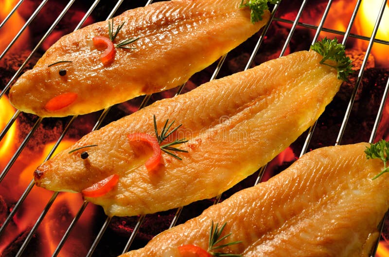 Flaming Fish stock illustration. Illustration of ocean - 8837695