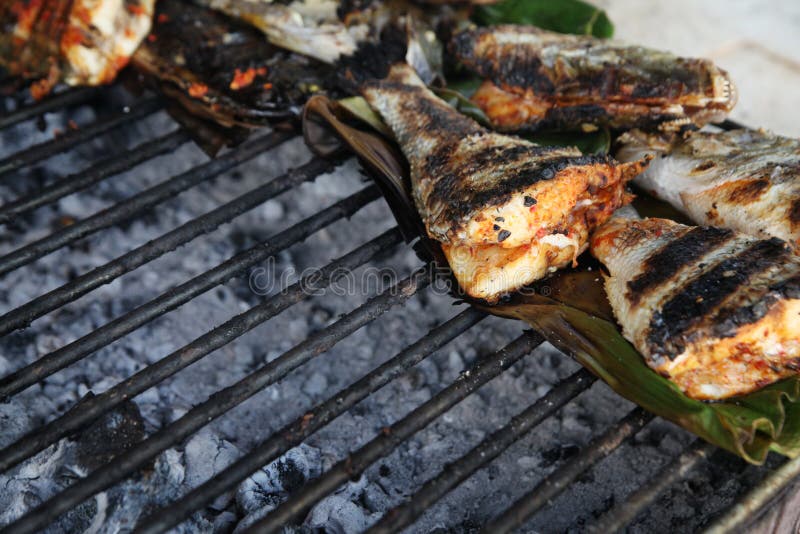 Grilled fish food portion stock photo. Image of grilled - 15197852
