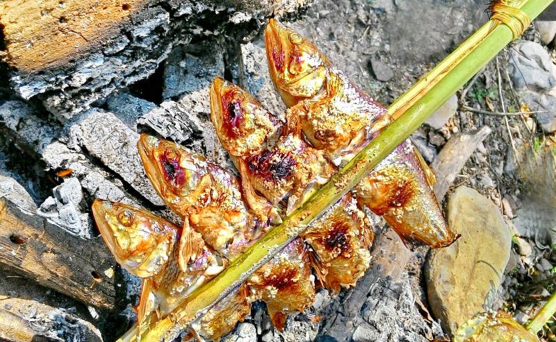 Grilled Fish stock photo. Image of edible, healthy, baked - 61157772