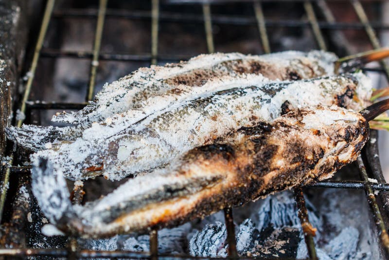 Grilled fish stock image. Image of food, gourmet, diet - 46815999