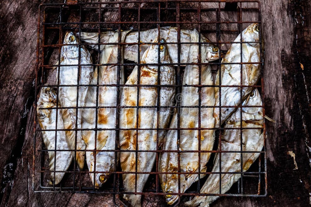 Grilled fish stock photo. Image of nature, holiday, forest - 61909698