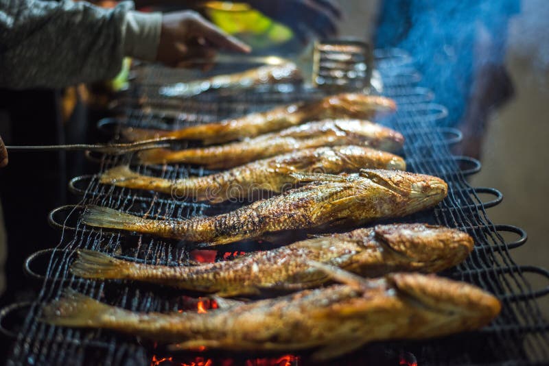 Grilled fish on the grill stock image. Image of culinary - 323958839
