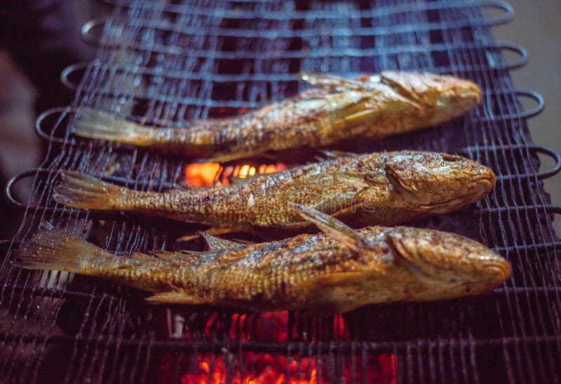 Grilled fish on the grill stock photo. Image of broiled - 323958818