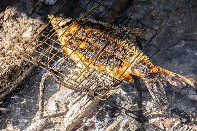 Grilled Fish, Iron Grill, Fire, Wood, Charcoal. Stock Image - Image of ...