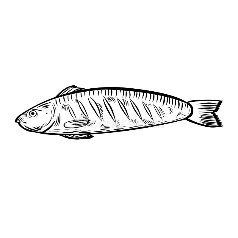 Grilled Fish Line Drawing Vector Illustration Stock Vector ...