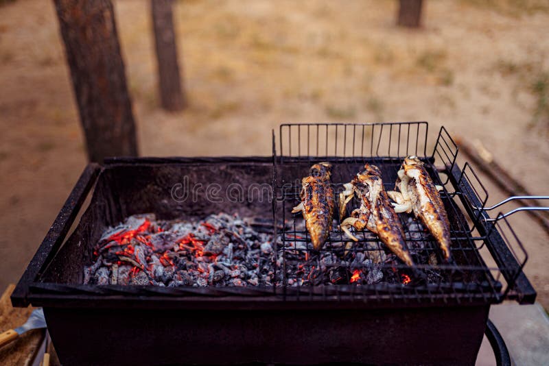 Grilled Fish with Spices on Fire Stock Image - Image of grilled ...