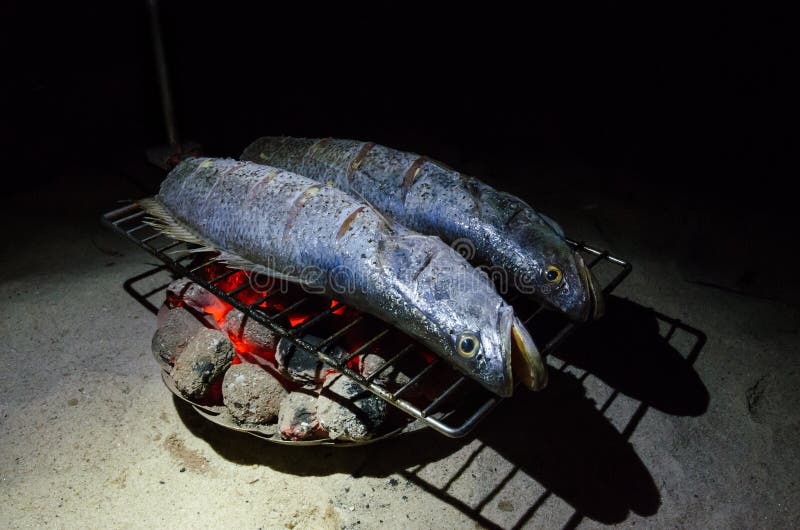 Grilled Fish Over Coal Fire at Beach during Night Stock Image - Image ...