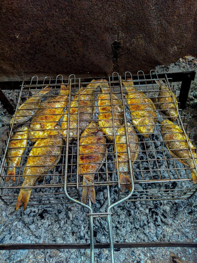 Grilled Fish Over Coals Grilled Fish Hot Stock Image - Image of fish ...