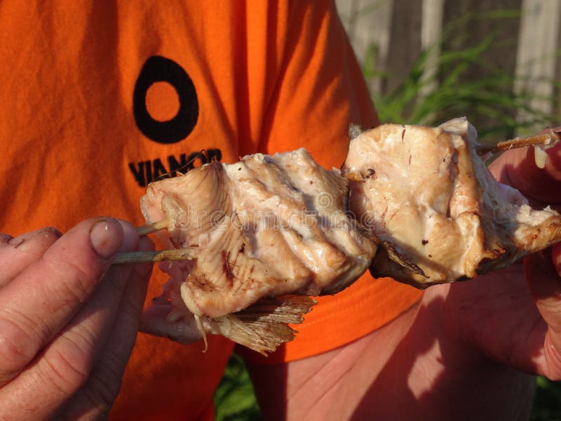 Grilled Fish Pieces on a Stick in the Hands on a Bright Orange ...