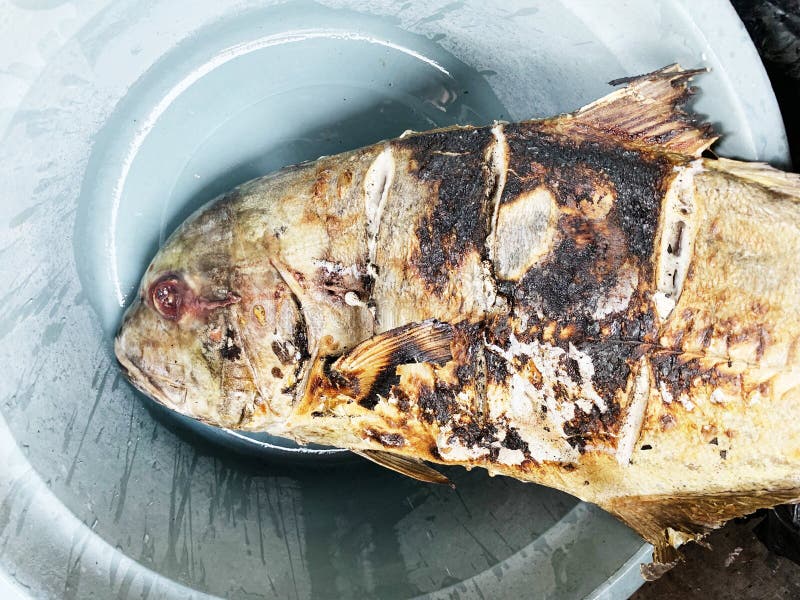 Grilled Fish is in the Process of Using a Simple Combustion Medium ...