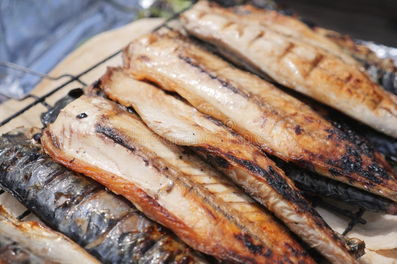 Grilled Fish Resting on a Wire Rack Outdoors during Summer Stock Image ...