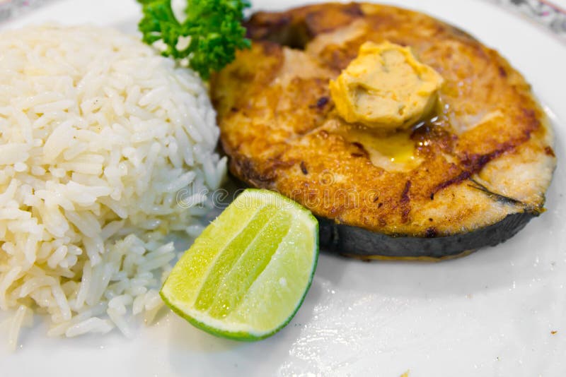 Grilled fish with rice stock image. Image of plate, salad - 39020615