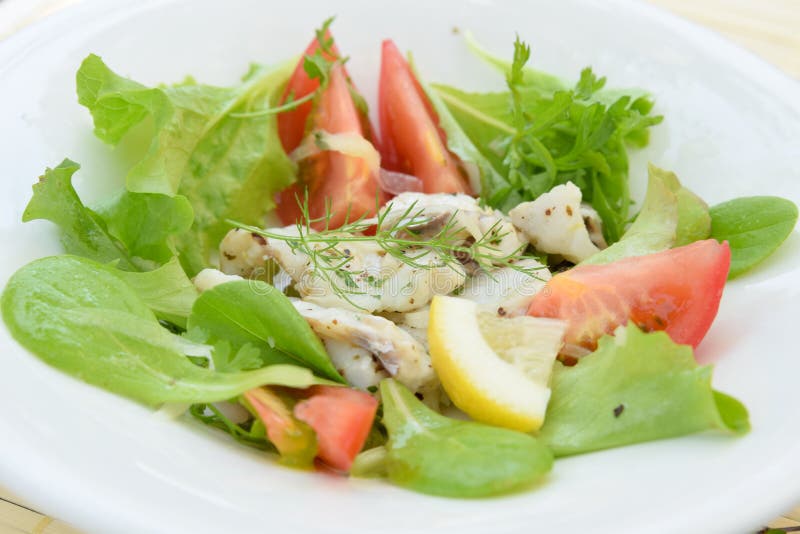 Grilled fish salad stock photo. Image of grilled, dish - 71545230