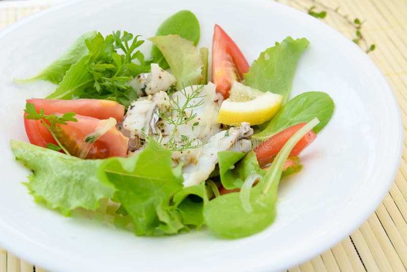 Grilled fish salad stock image. Image of codfish, fennel - 71545917