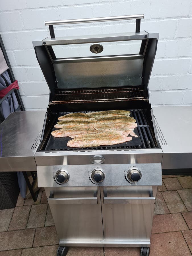 Grilled Fish with Spices on Fire Stock Image - Image of campfire, fire ...