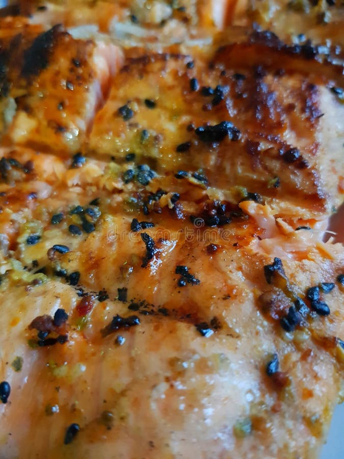 Grilled fish stock image. Image of tasty, fresh, fish - 146924025