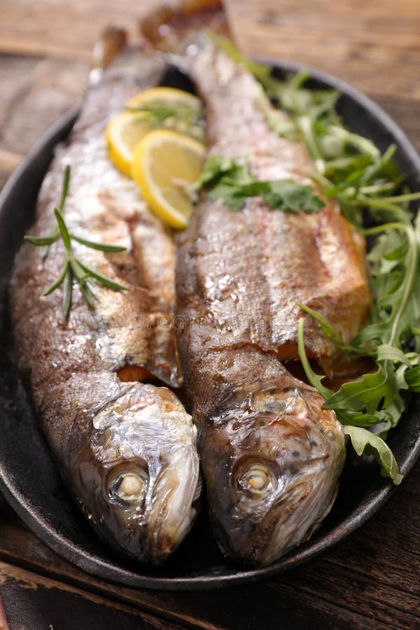 Grilled fish,trout stock image. Image of healthy, baked - 69343447