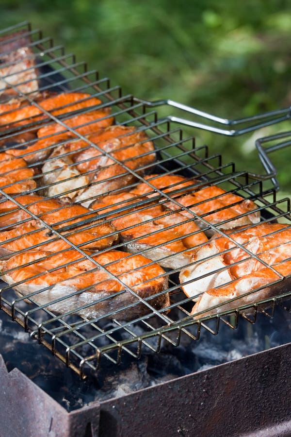 Grilled fresh fish stock image. Image of luxury, kebab - 18427729