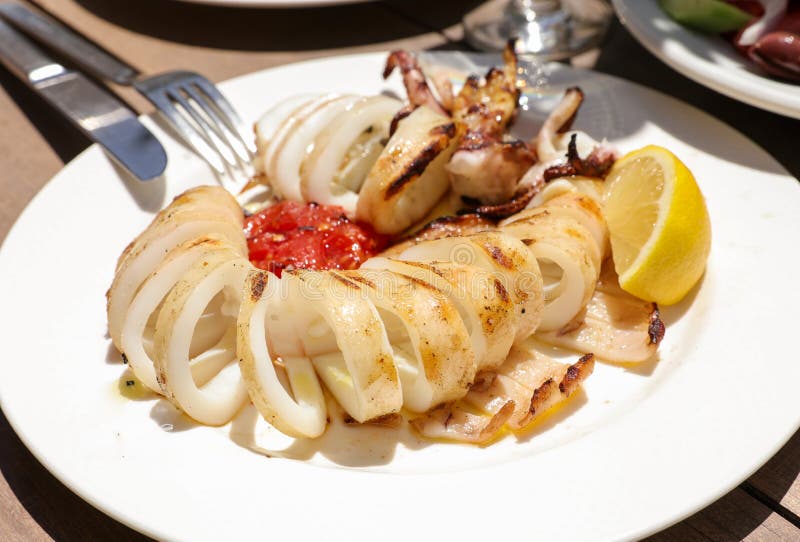 Grilled fresh squid. stock photo. Image of meal, peloponnese - 98013722