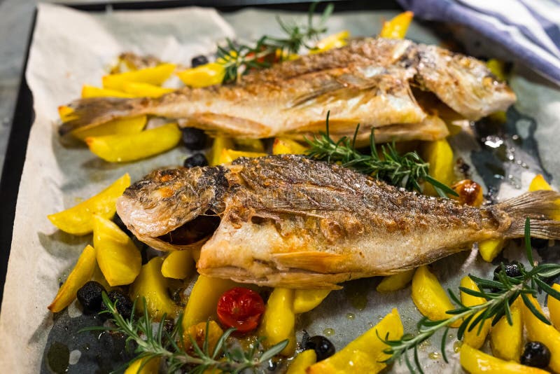 Grilled gilt-head bream stock photo. Image of lunch - 110979708