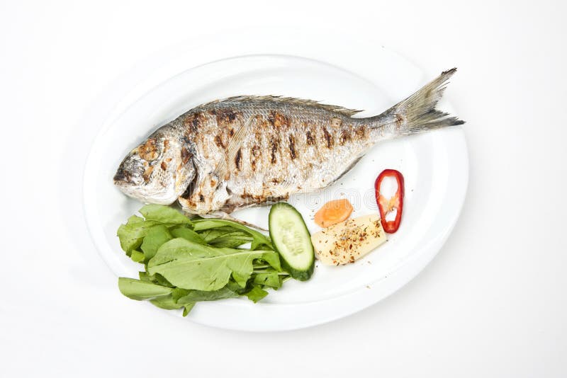 Grilled gilthead bream stock photo. Image of prepared - 49981336