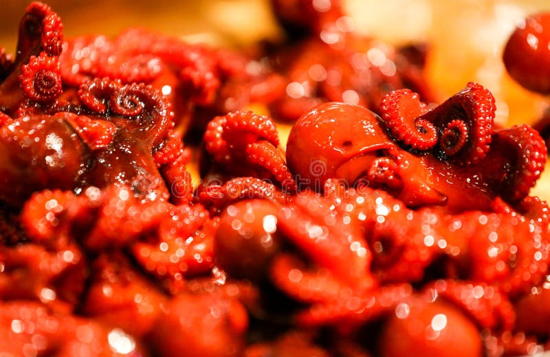 Grilled Glazed Octopus Dish, Asian Snack Stock Image - Image of grilled ...