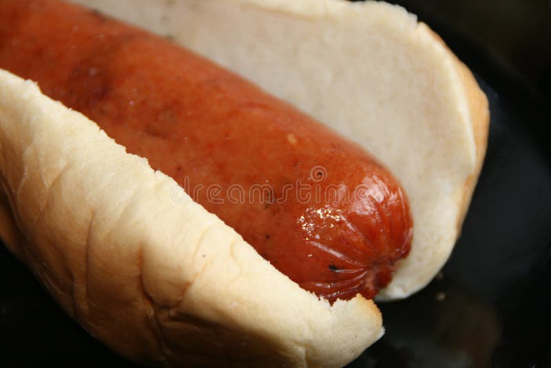 Hot Dog Plain stock image. Image of link, cooking, dish - 229043585