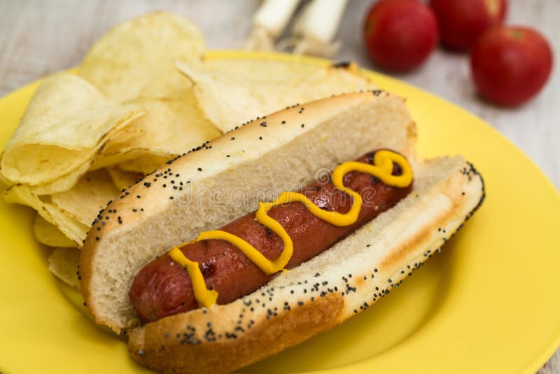 Picnic Hot Dog on Bun with Mustard Stock Photo - Image of delicious ...