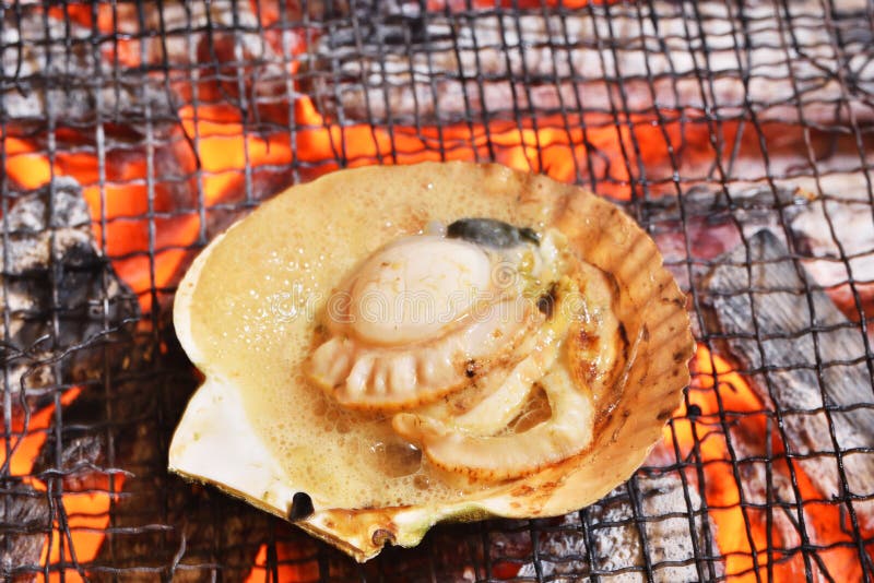 Grilled Japanese Scallop Hotate Stock Image - Image of freshness ...