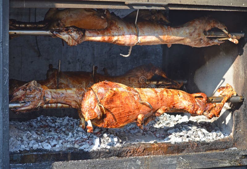 Grilled lamb. roasted lamb stock photo. Image of epicure - 127193602