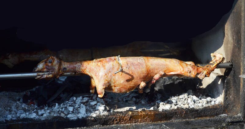 Grilled lamb. roasted lamb stock photo. Image of farm - 127193564